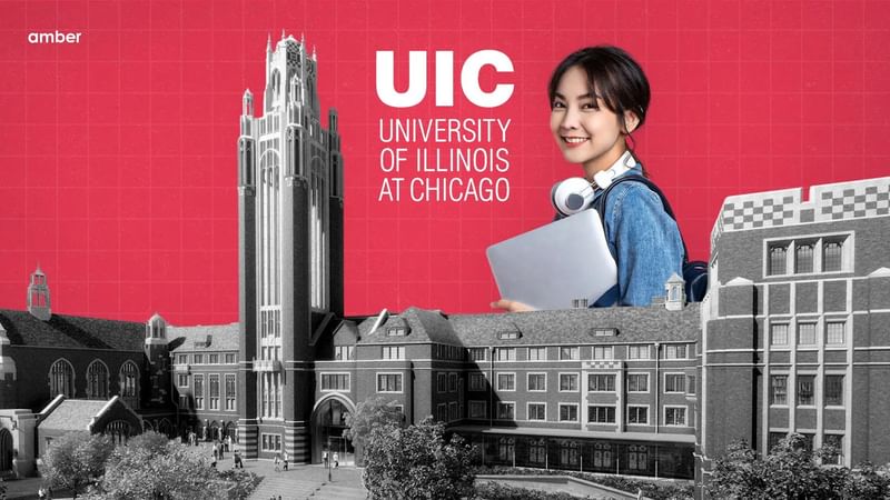 University of Houston Admission: Requirements, Deadlines & Process | Amber